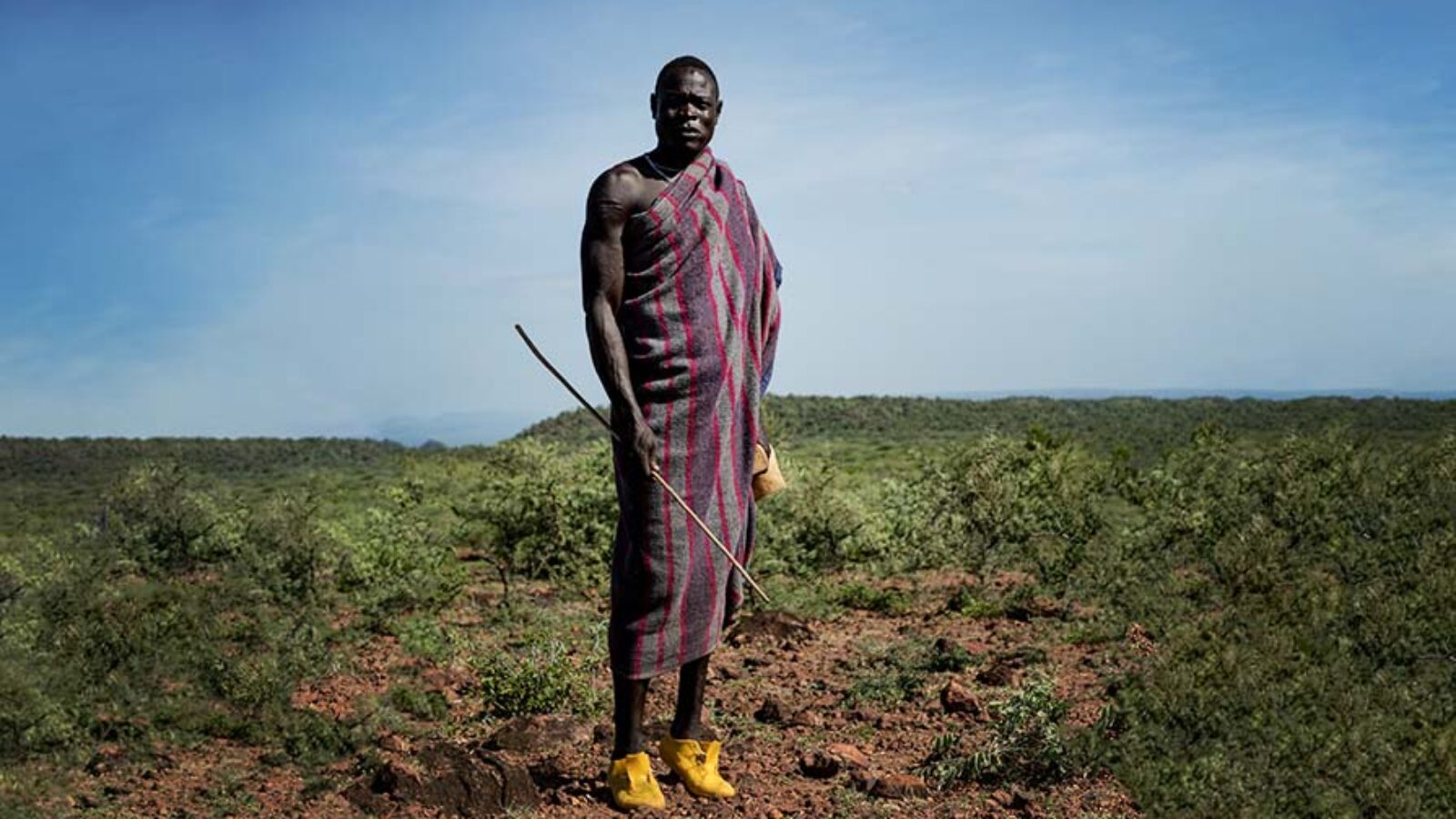 Guinea Worm Guinea Worm Eradication Program - The 桃子视频