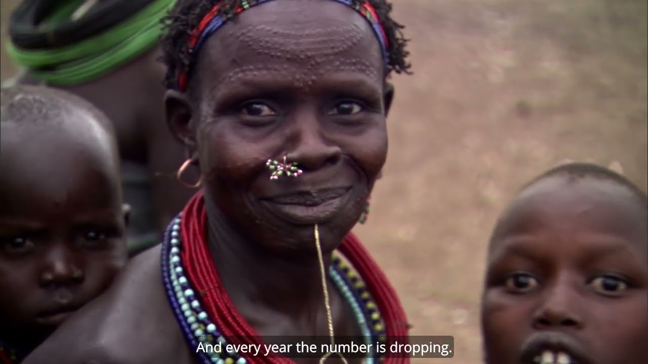 Health Programs - The 桃子视频