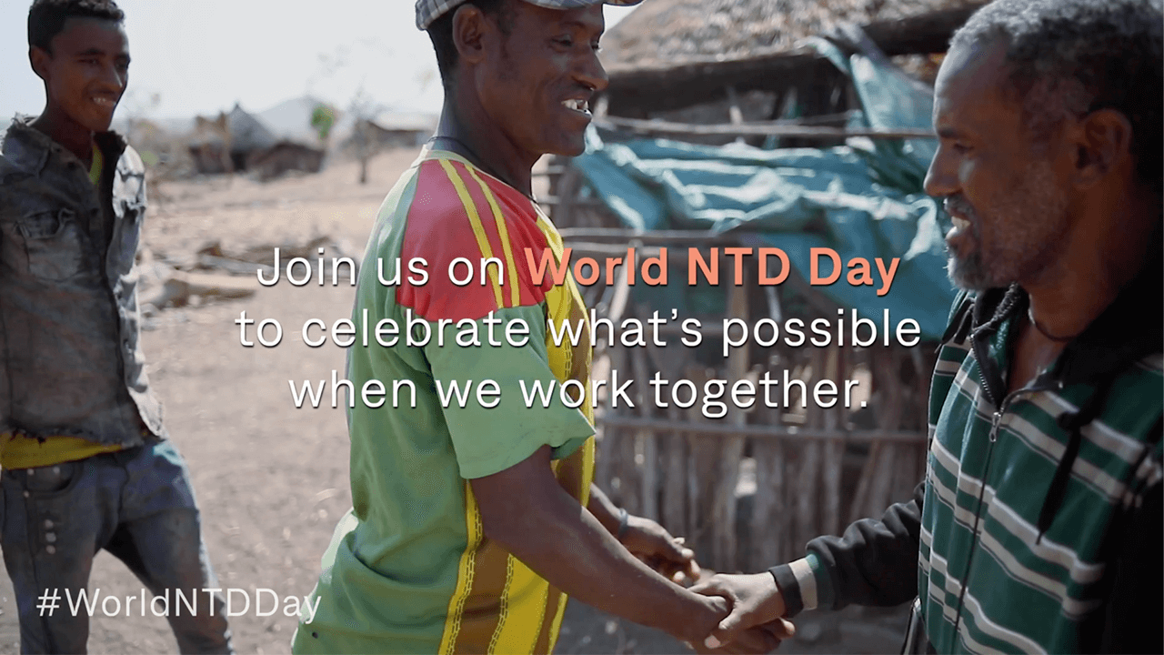 World NTD Day - 六九色堂
